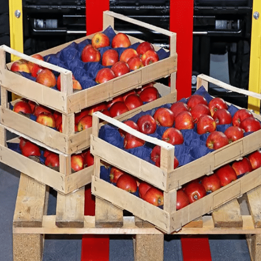 Food Grade Pallets: Essential Solutions for the Food Industry